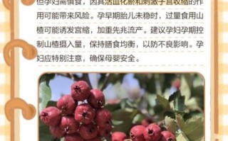 山楂吃了5天流产了_孕妇吃山楂会流产吗