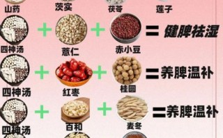 中医药膳有哪些功效_食疗养生如何搭配