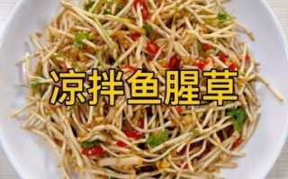 鱼腥草怎么吃效果最好_鱼腥草怎么吃最健康