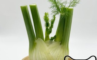 茴香头怎么吃法_茴香头怎么做好吃