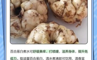 葱白煮水有什么功效_葱白怎么吃效果最好
