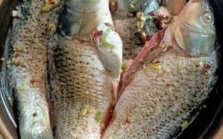 腌鱼一般腌多长时间_腌鱼多久能吃