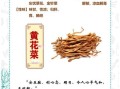 黄花菜怎么做适合儿童吃_儿童吃黄花菜有哪些注意事项