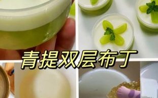简单布丁的做法_新手也能一次成功