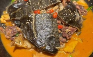 炖甲鱼的正确方法_甲鱼汤怎么炖不腥