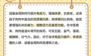 狗肉的功效与作用_吃狗肉的禁忌有哪些