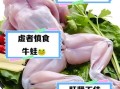 牛蛙是保护动物吗_能不能吃
