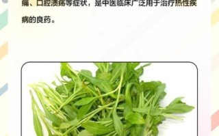 马兰头泡水喝有什么功效_马兰头泡水禁忌