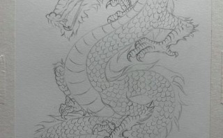 龙图片大全_如何画好中国龙