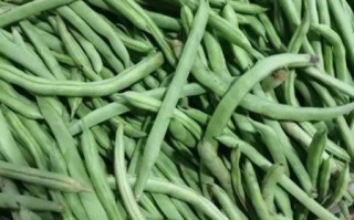 芸豆图片_芸豆和四季豆的区别