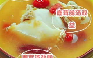 鹿茸炖鸽子的做法_鹿茸炖鸽子怎么炖最补