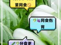 白菜不能和什么一起吃_白菜和什么食物相克