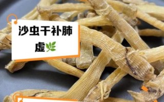 沙虫干有什么功效_沙虫干适合什么人吃
