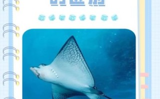 魟鱼怎么读_魟鱼读音是什么