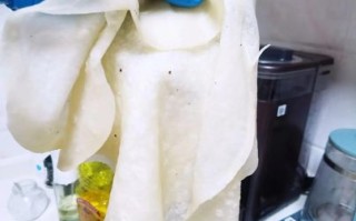 春卷皮面粉怎么调_春卷皮用什么面粉最好