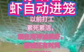 河虾进笼子最快吃什么_河虾诱饵配方