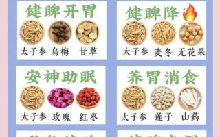 太子参的功效与作用是什么_太子参适合哪些人吃