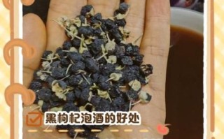 黑枸杞子泡水喝的正确方法_黑枸杞子的功效与禁忌