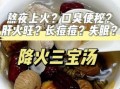 炖什么汤降火_下火清火汤怎么做