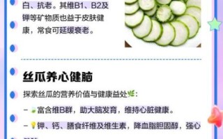 丝瓜有什么功效_丝瓜的用处有哪些