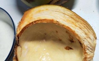 椰子肉怎么吃最好吃_椰子肉做法大全