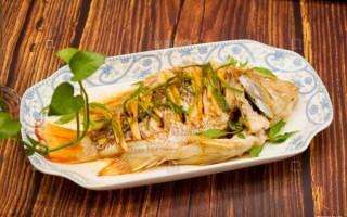 花雕鱼是淡水鱼还是海鱼_花雕鱼生长环境揭秘