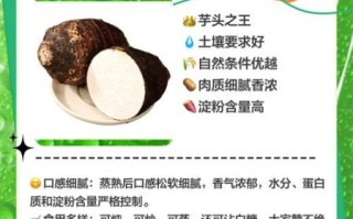 芋头怎么做好吃_芋头有哪些营养价值