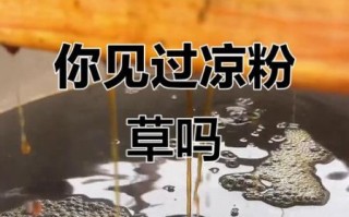 凉粉草是薄荷吗_两者区别与功效对比