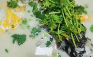 鲢鱼汤怎么做才白_鲢鱼汤去腥的窍门