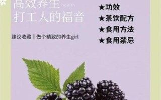 经常吃桑葚干有什么好处_桑葚干的功效与作用