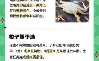 梭子蟹图片大全大图真实_梭子蟹怎么分辨公母