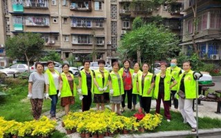 枣子巷社区怎么样_枣子巷社区有哪些便民服务