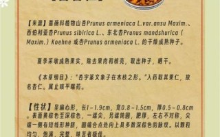 苦杏仁粉的功效与作用_苦杏仁粉能天天吃吗