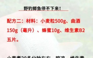 野钓鲫鱼用什么饵料_野钓鲫鱼怎么找鱼窝