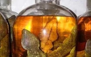 蛤蚧泡酒的正确做法_蛤蚧泡酒配方比例是多少