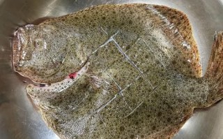 煎焖多宝鱼怎么做_多宝鱼煎多久才熟