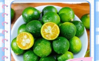 金橘怎么保存不会坏_金橘可以放冰箱吗