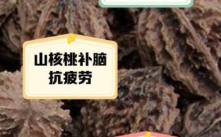 野生山核桃多少钱一斤_野生山核桃功效与作用