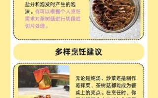 干茶树菇要泡多久才烂_怎么判断泡发到位