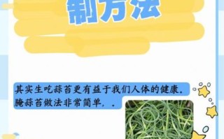 蒜苔怎么腌制不坏_蒜苔腌制多久可以吃