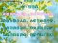 槐花诗句有哪些_槐花象征什么