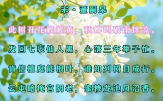 槐花诗句有哪些_槐花象征什么