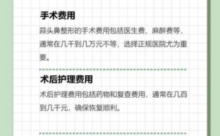 蒜头鼻整形多少钱_蒜头鼻整形价格影响因素