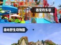 西安适合小孩玩的景点有哪些_西安亲子游必去地方推荐