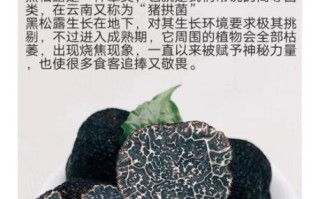 女人吃黑松露能美容吗_黑松露对女性的功效与作用