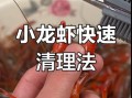 龙虾怎么洗干净_龙虾清洗视频教程
