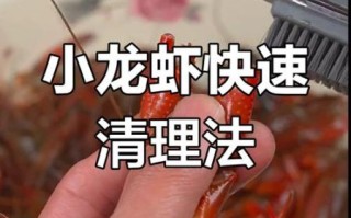 龙虾怎么洗干净_龙虾清洗视频教程