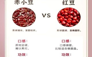 红小豆和赤小豆的区别_哪个更祛湿