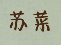 苏菜有哪些经典名菜_苏菜和浙菜区别在哪