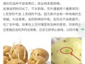 发芽的土豆吃了有什么症状_中毒后怎么办